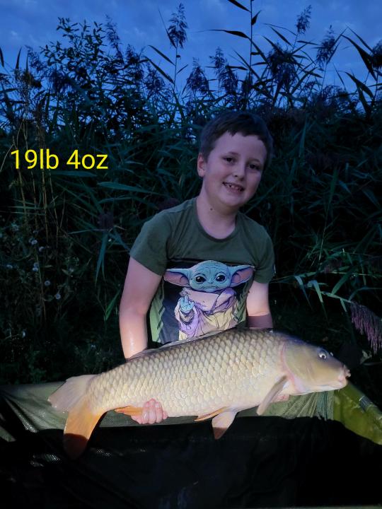 Pb fish | Total Carp